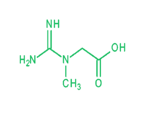 Creatine Shots: The Science-Backed Fitness Booster
